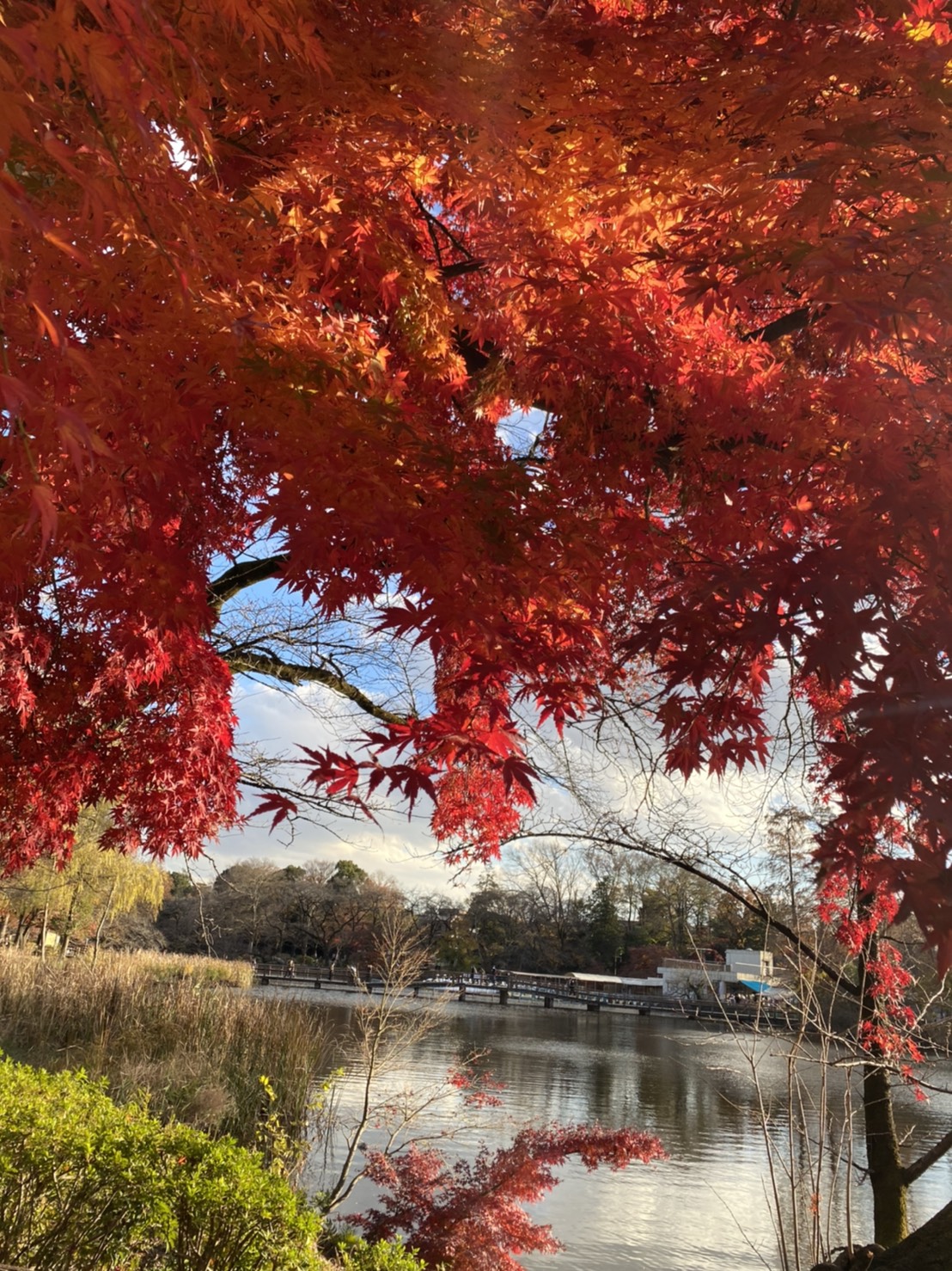 いつも楽しくいkouyo～！ | hair trees 武蔵小杉店